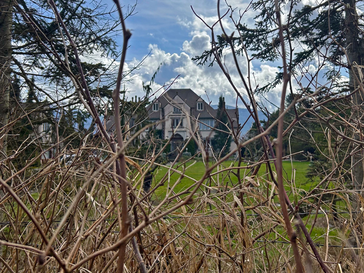 Bok Bok B'GEEK • Willowbrook Manor English Tea House and Farm Stay